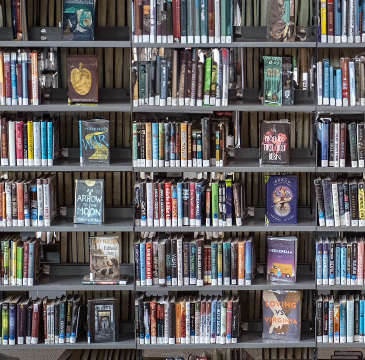 Our Collection - Howard County Library System